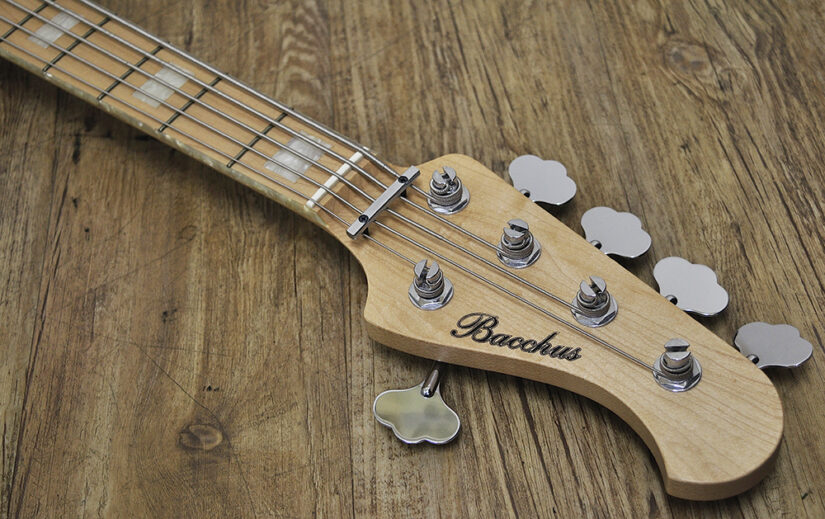 Bacchus HANDMADE series WOODLINE ASH5 - ギター・楽器買取のサウンド・プラグ
